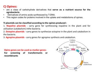 Biological method of transformation | PDF