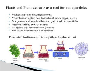 biologicalmethodsfornanoparticlesynthesis-150409004357-conversion ...