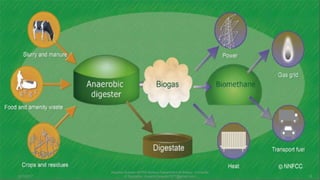 Biological methods of waste disposal. mujahid hussain | PPTX