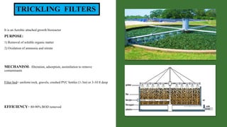 Biological methods of waste disposal | PPTX