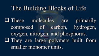BIOLOGICAL MOLECULE for senior high school(1).pdf