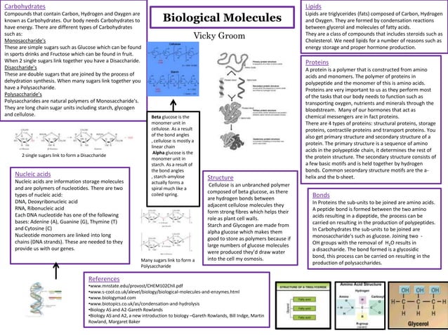 Biological molecules | PPT