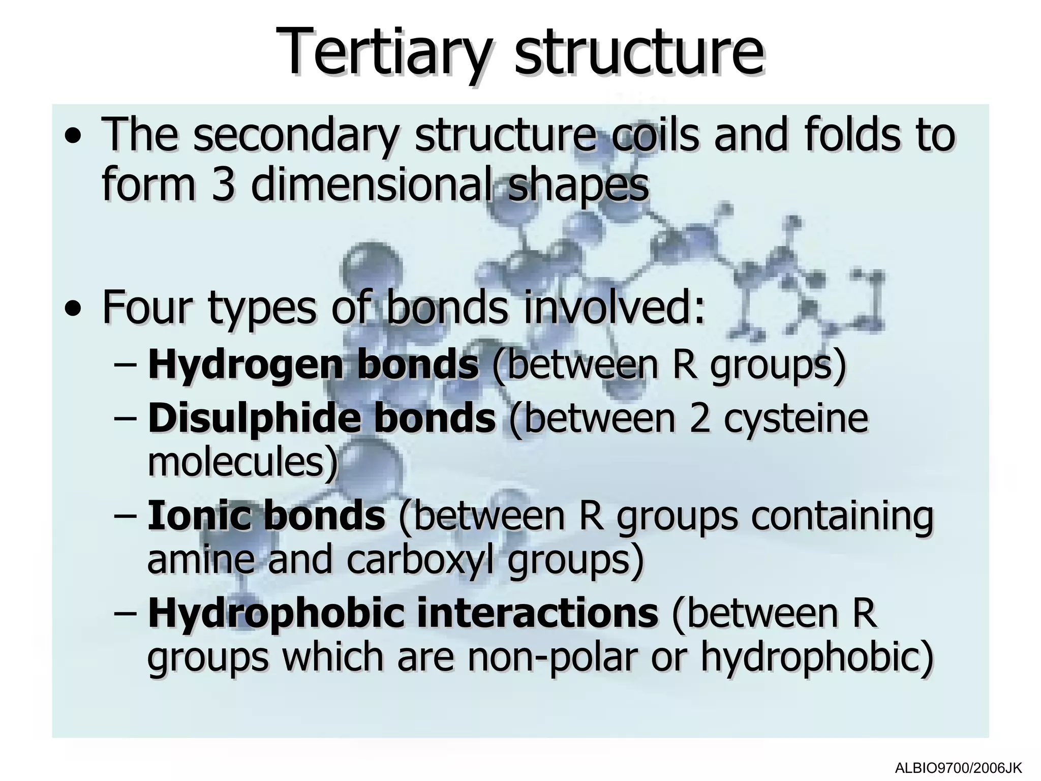 Biological Molecules | PPT