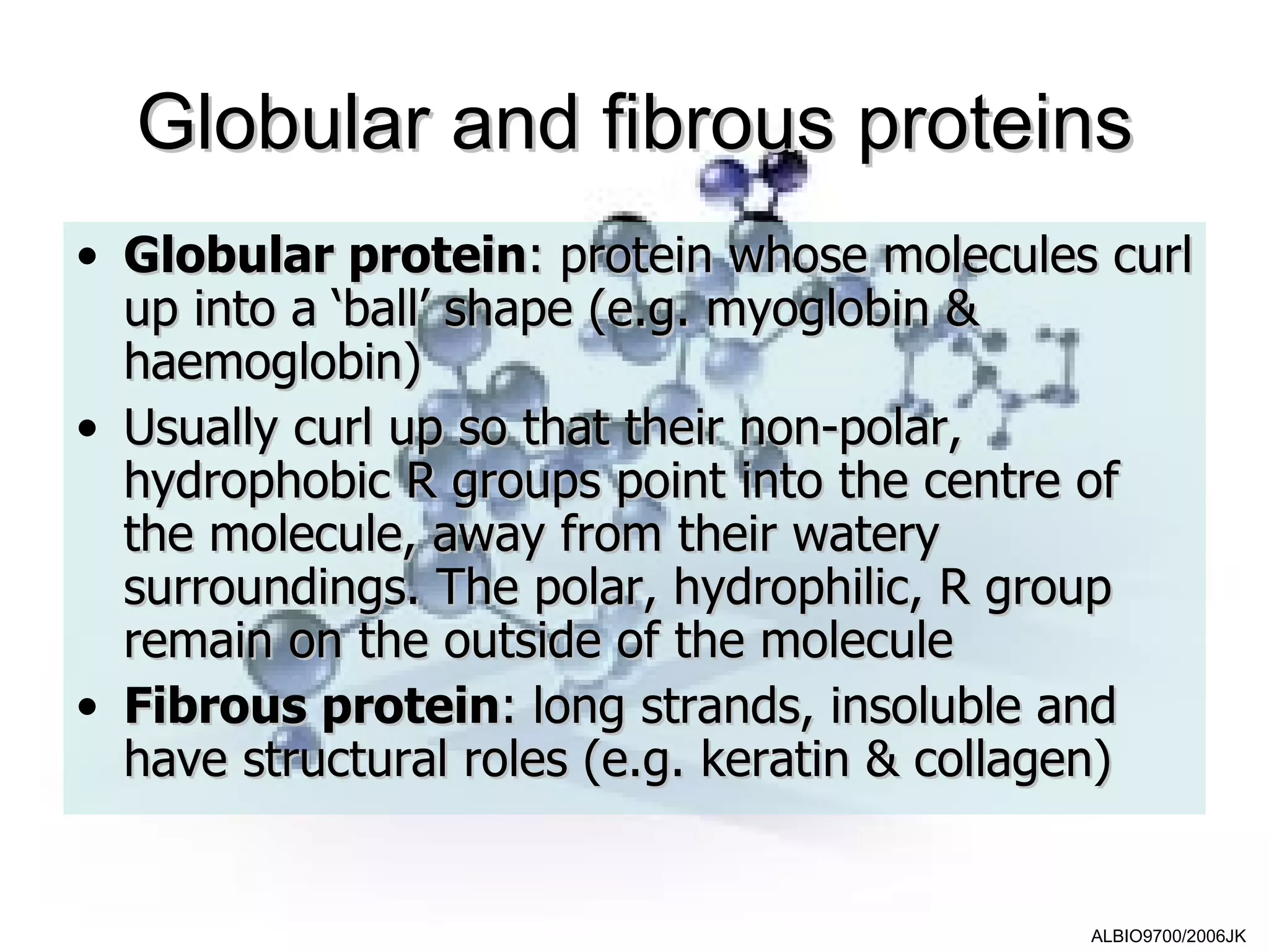 Biological Molecules | PPT