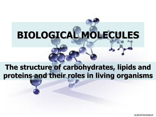 Biological Molecules | PPT | Chemistry | Science