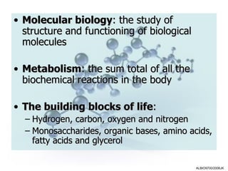 Biological Molecules | PPT