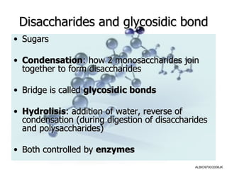Biological Molecules | PPT