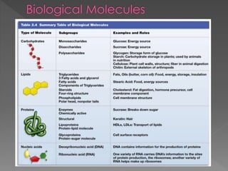 Biological molecules | PPTX | Chemistry | Science
