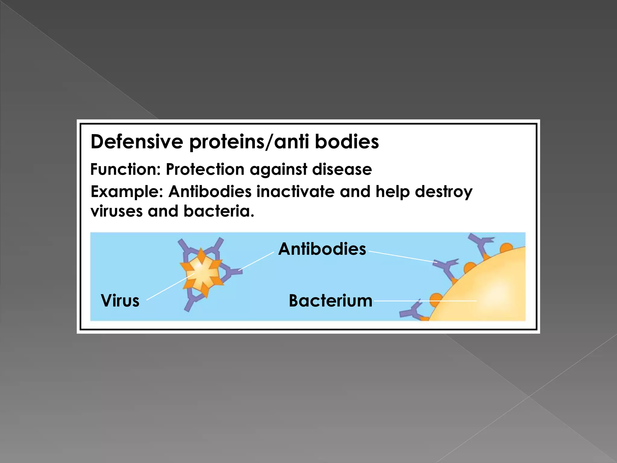 Biological molecules | PPT