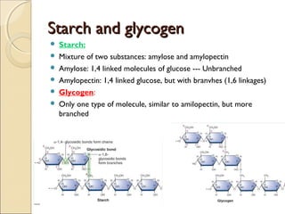 Biological molecules | PPT