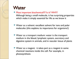 Biological molecules | PPT