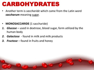 Biological Molecules | PPTX