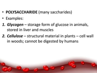 Biological Molecules | PPT | Free Download