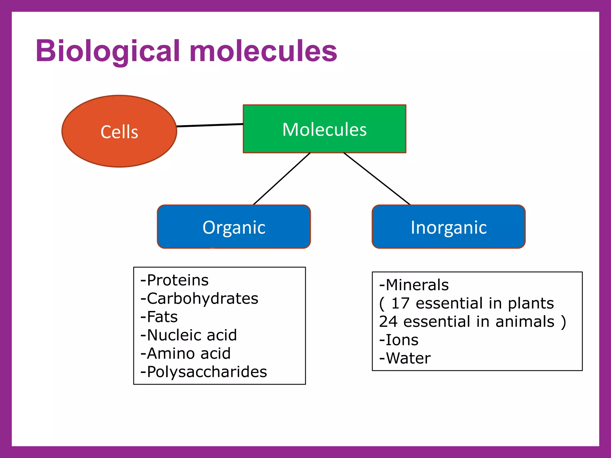 Biological molecules | PDF