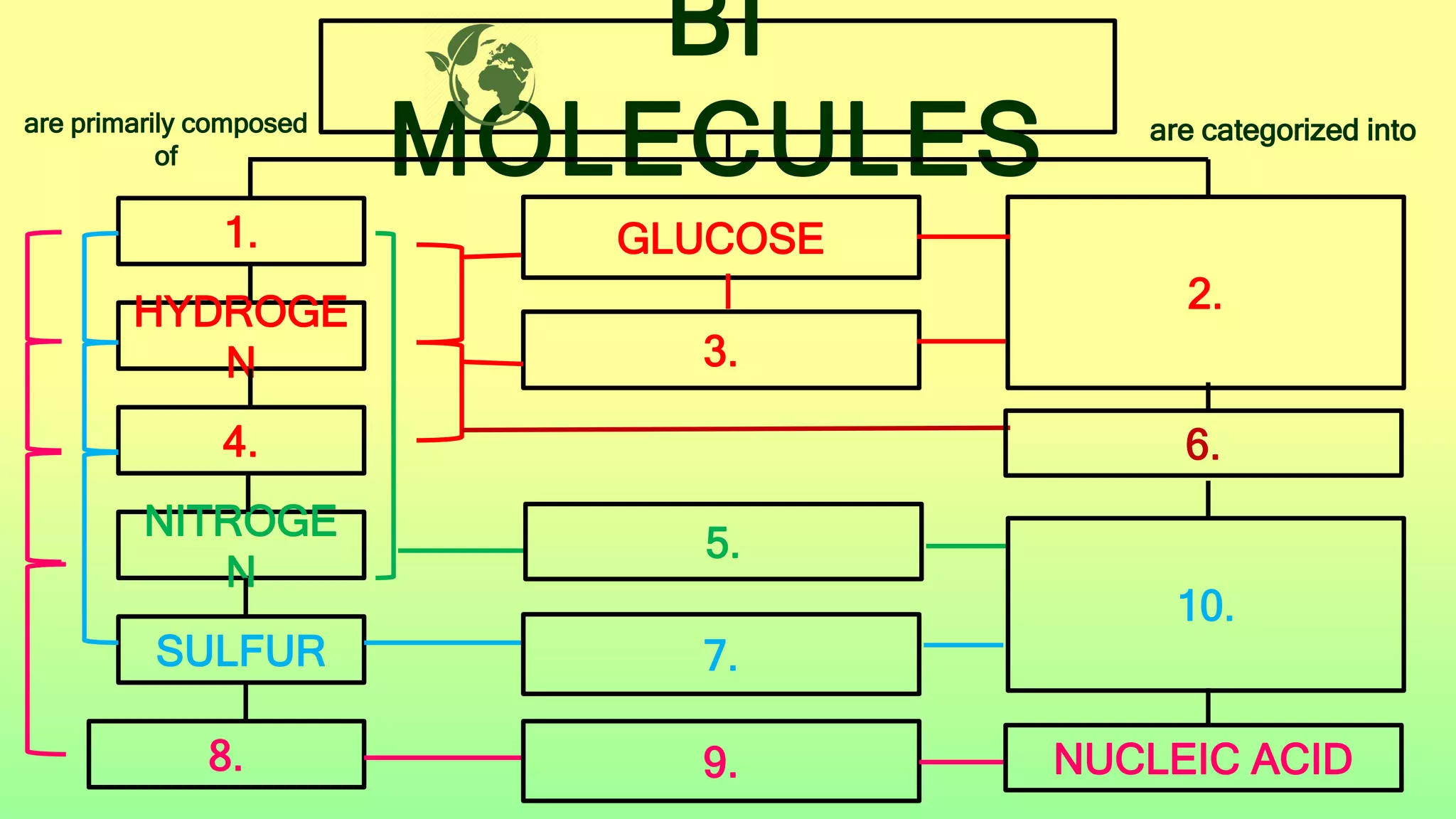 Biological molecules | PPTX