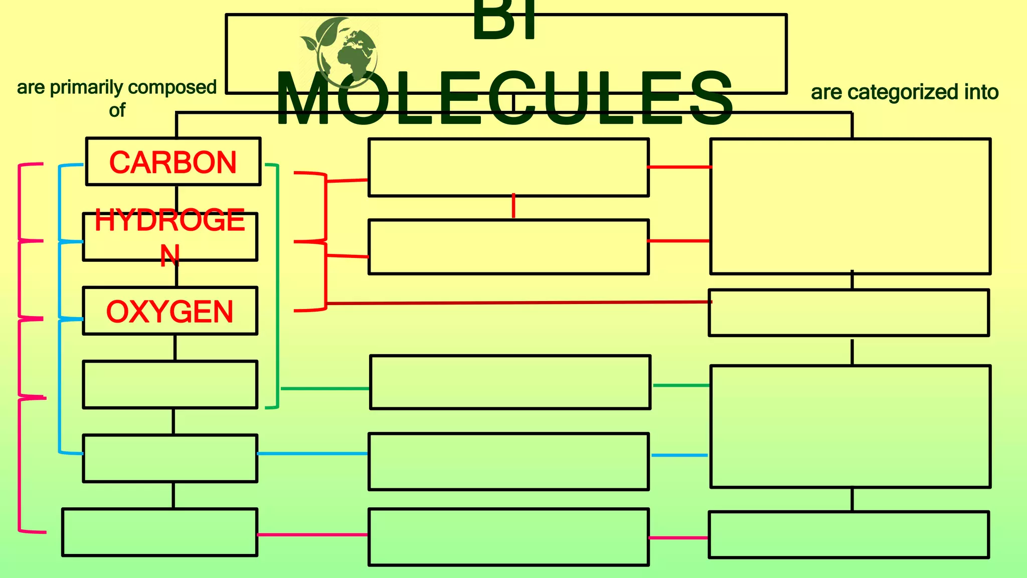 Biological molecules | PPT