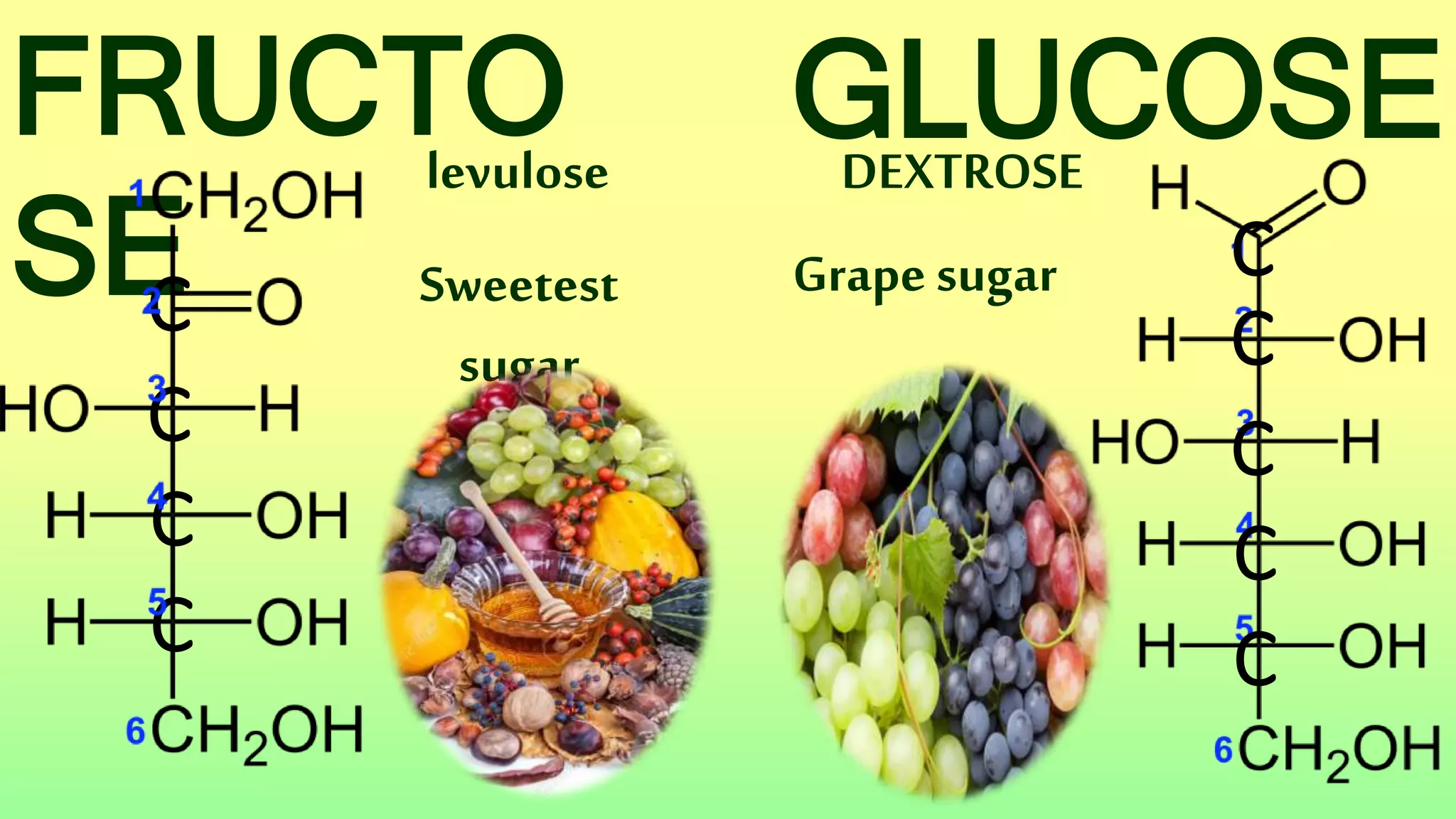 Biological molecules | PPTX