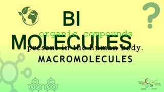 Biological molecules | PPTX