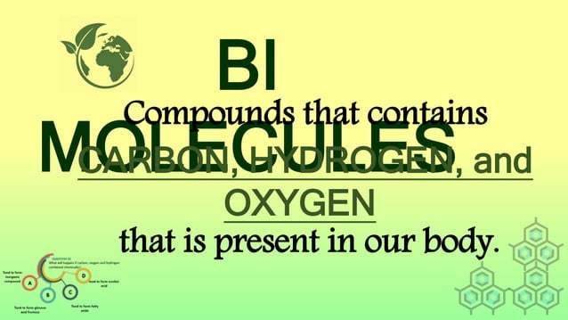 Biological molecules | PPT