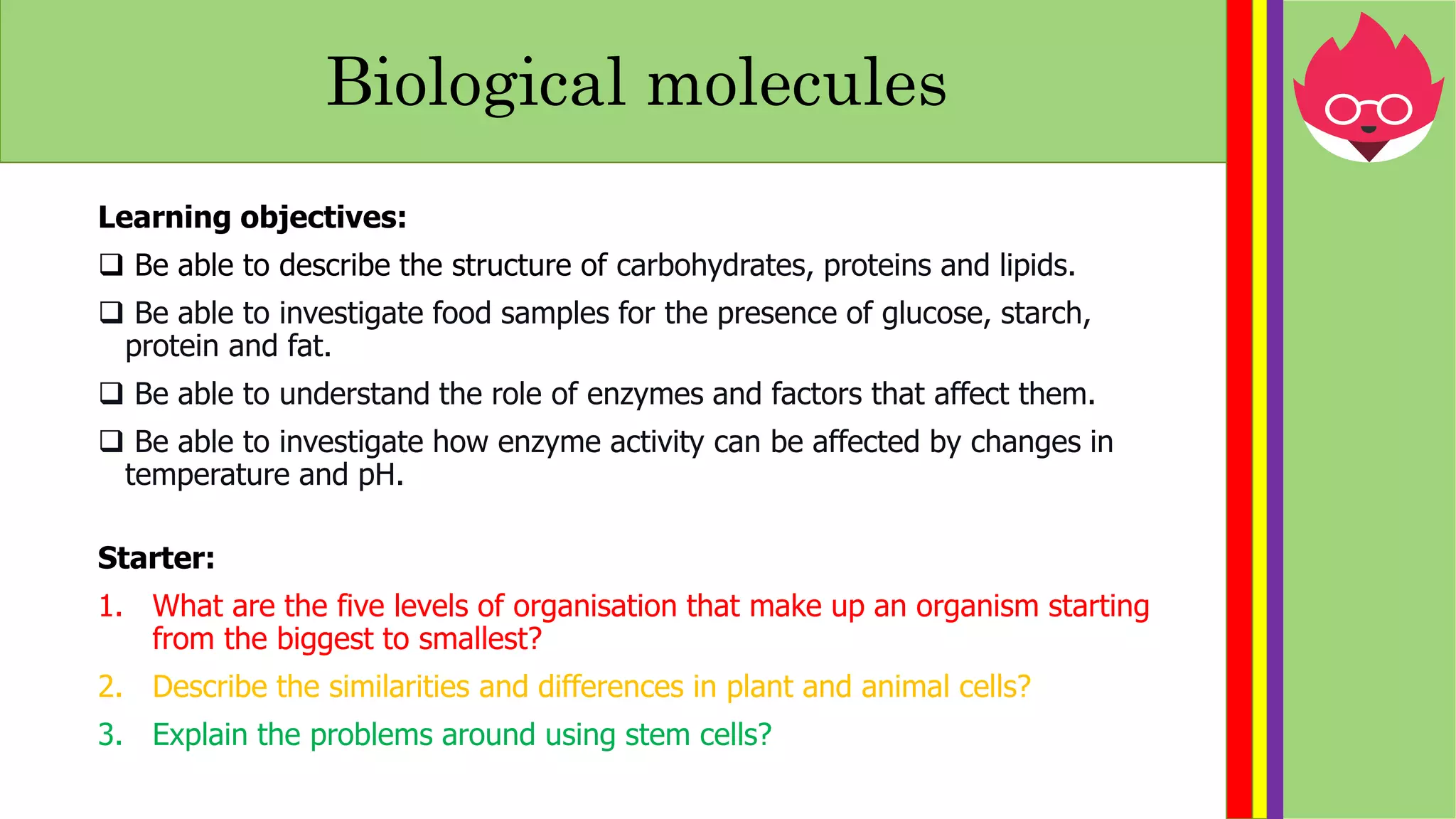 IGCSE Biology Edexcel (9-1) Biological molecules | PPTX