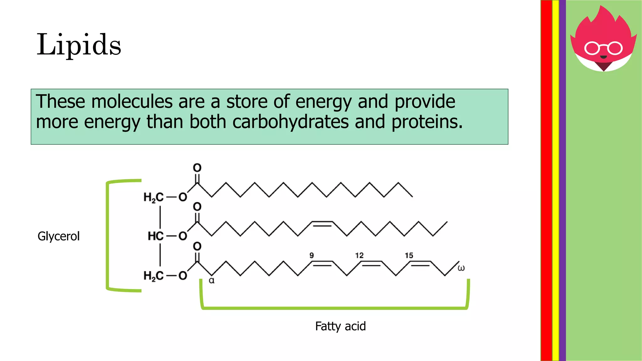 IGCSE Biology Edexcel (9-1) Biological molecules | PPTX