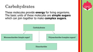 IGCSE Biology Edexcel (9-1) Biological molecules | PPTX