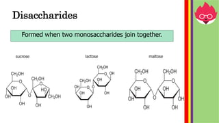 IGCSE Biology Edexcel (9-1) Biological molecules | PPTX