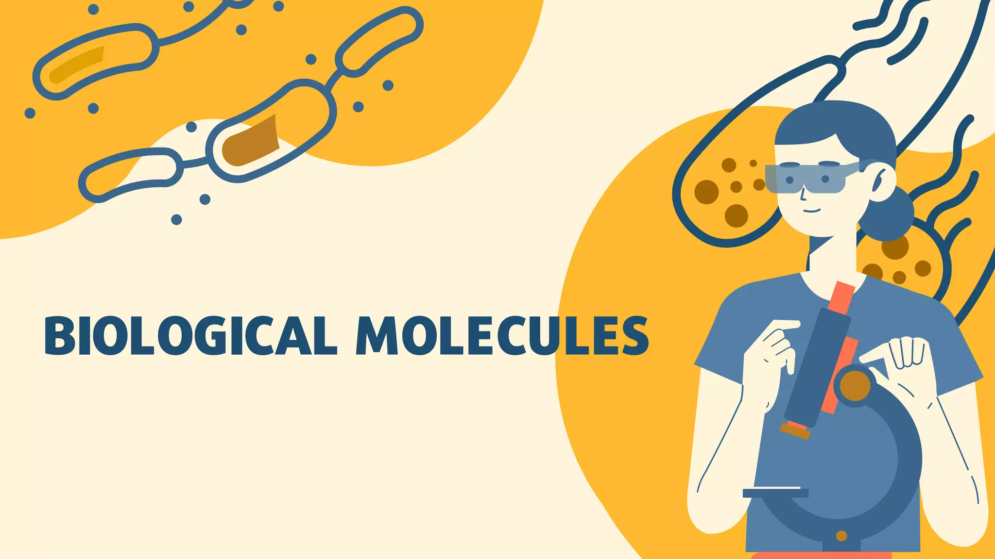 Biological Molecules.pdf