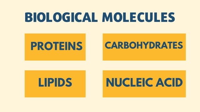 Biological Molecules.pdf