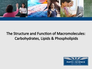 Comprehensive Overview of Macromolecules: Carbohydrates, Lipids, and ...