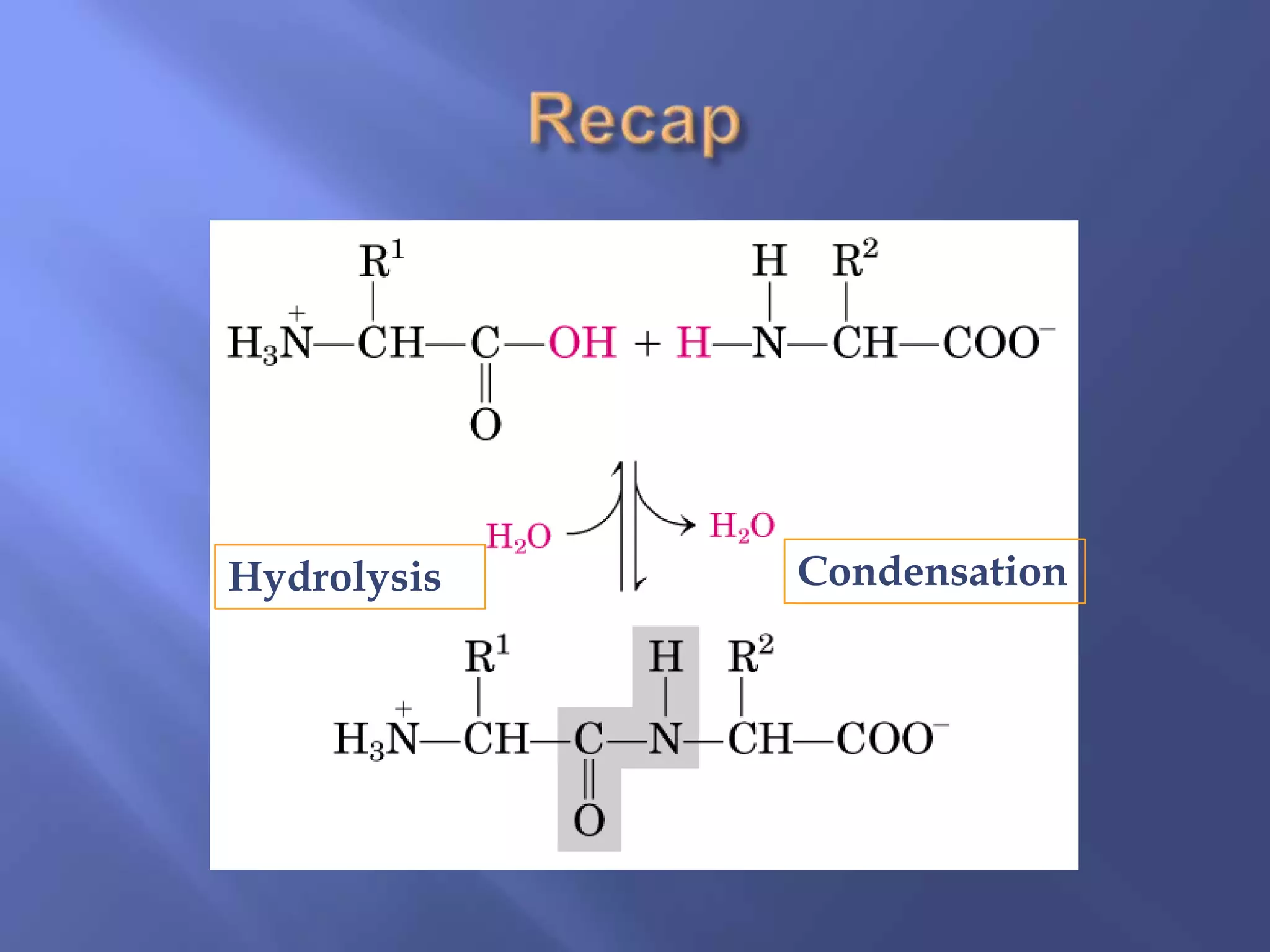 Biological molecules (Carbohydrates and Lipids) water and Proteins ...