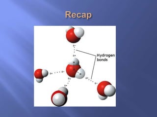 Biological molecules (Carbohydrates and Lipids) water and Proteins ...