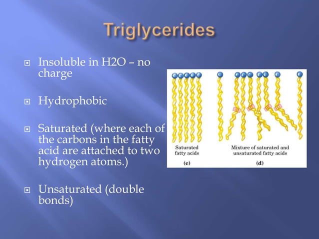 Biological molecules (Carbohydrates and Lipids) water and Proteins ...