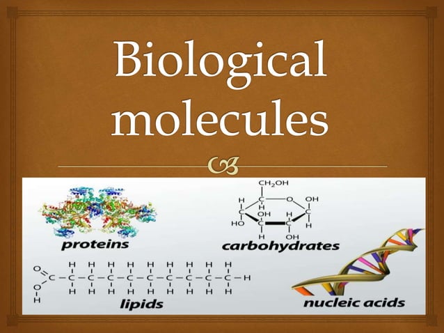 Biological molecules 2018 | PPTX | Nutrition | Healthy Living