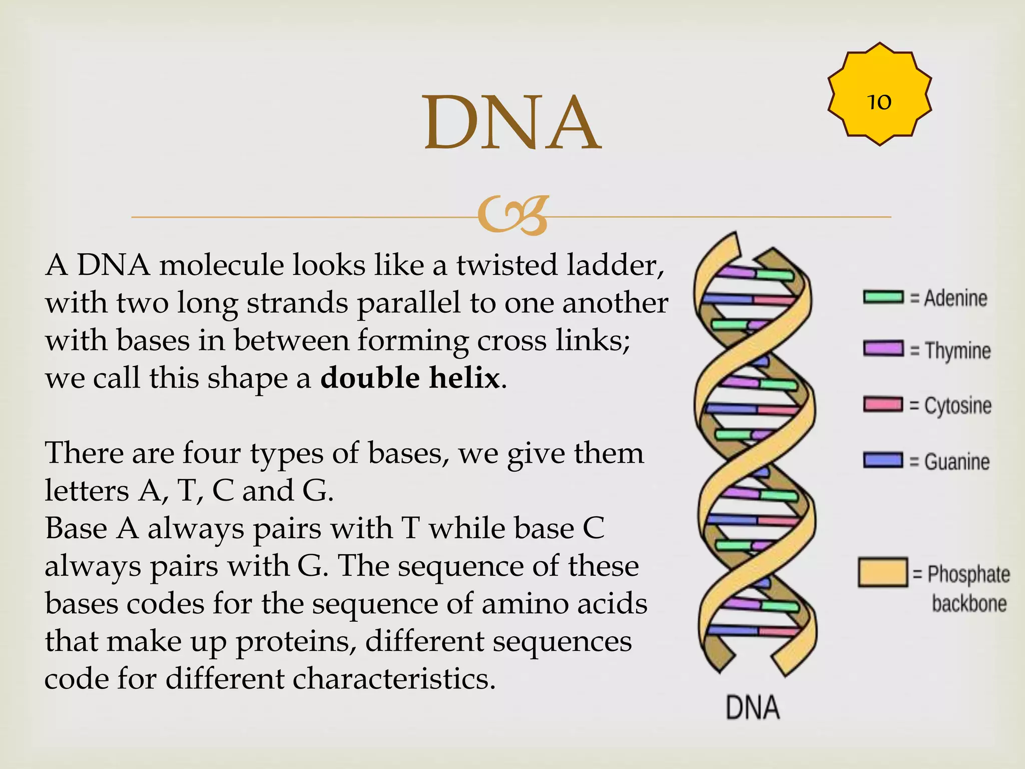 Biological molecules & diet 2018 | PPTX
