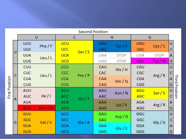 Biological molecules (chemical tests and nucleic acids) proteins and