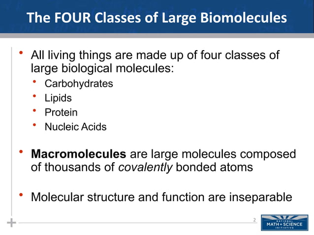 BIOLOGY: BIOLOGICAL MOLECULES (Macro structure and function).pptx
