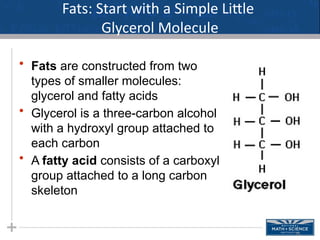 BIOLOGY: BIOLOGICAL MOLECULES (Macro structure and function).pptx