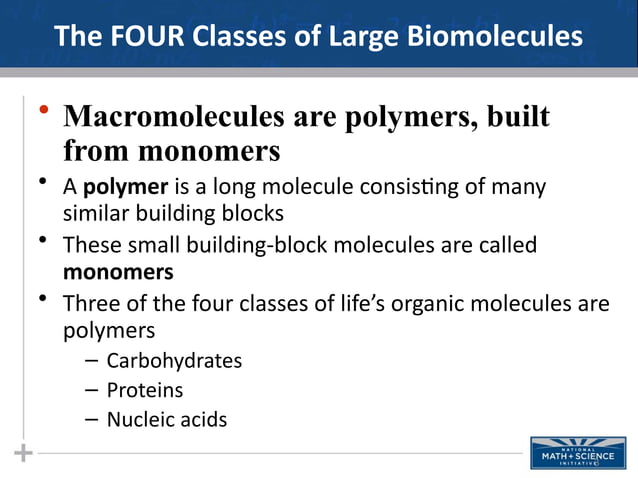 BIOLOGY: BIOLOGICAL MOLECULES (Macro structure and function).pptx