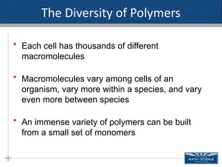 BIOLOGY: BIOLOGICAL MOLECULES (Macro structure and function).pptx