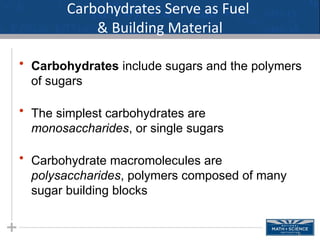 BIOLOGY: BIOLOGICAL MOLECULES (Macro structure and function).pptx