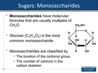 BIOLOGY: BIOLOGICAL MOLECULES (Macro structure and function).pptx