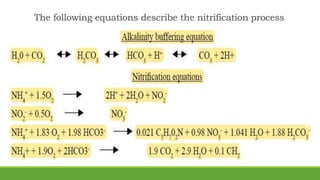 Biological nitrification | PPTX