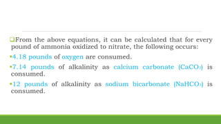 Biological nitrification | PPTX