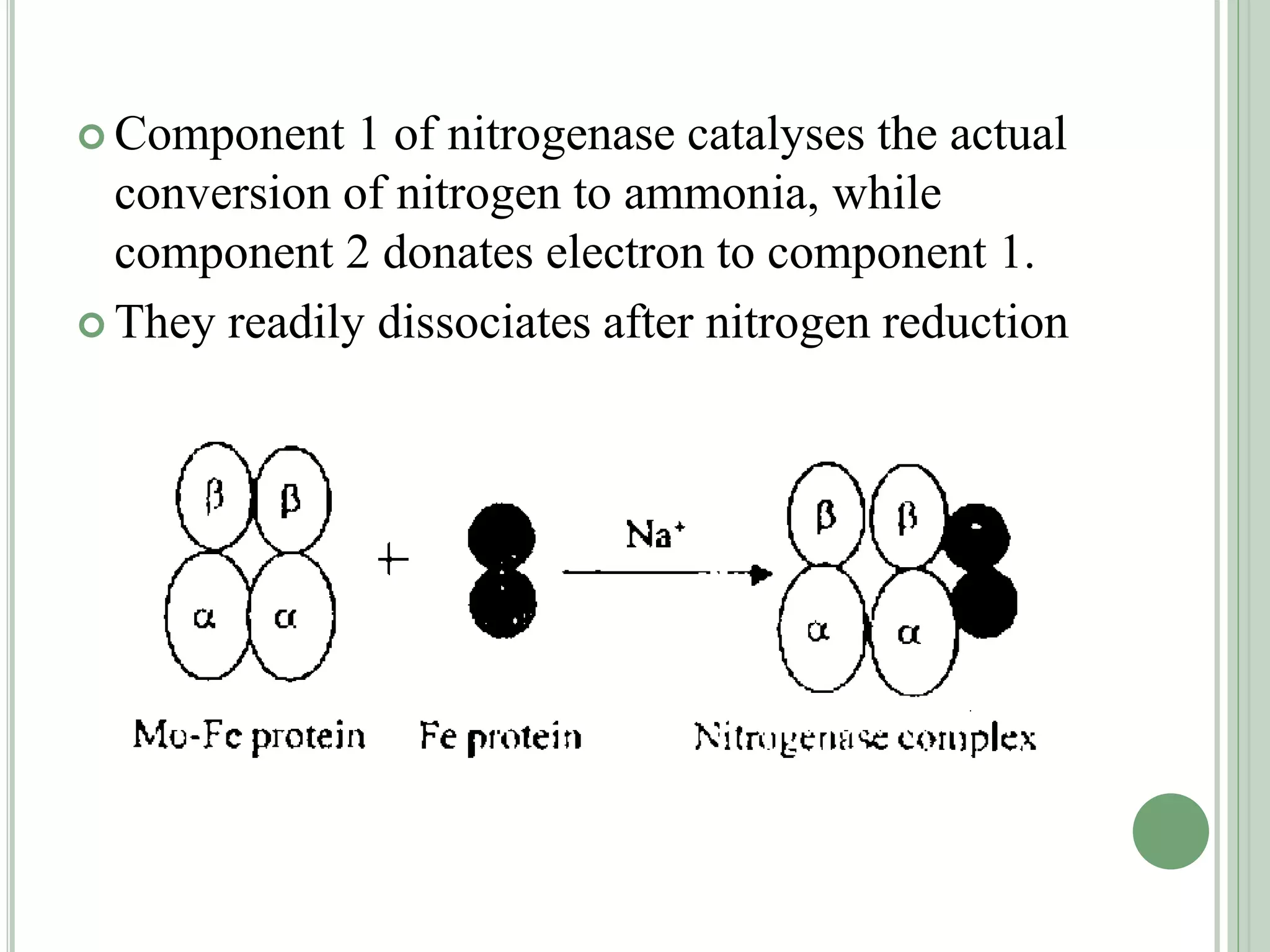 Biological nitrogen fixation | PPTX