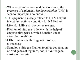 Biological nitrogen fixation | PPTX