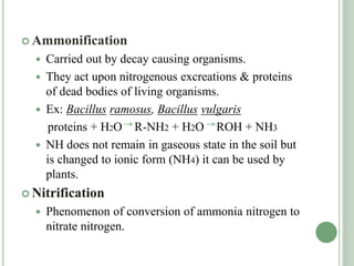 Biological nitrogen fixation | PPTX