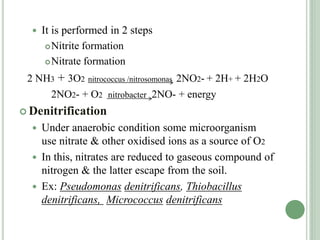 Biological nitrogen fixation | PPTX