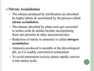 Biological nitrogen fixation | PPTX