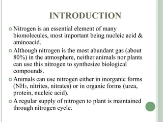 Biological nitrogen fixation | PPTX